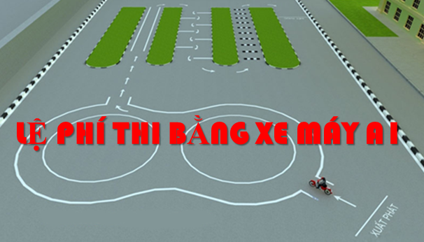 HOC LAI XE TAI BINH DINH